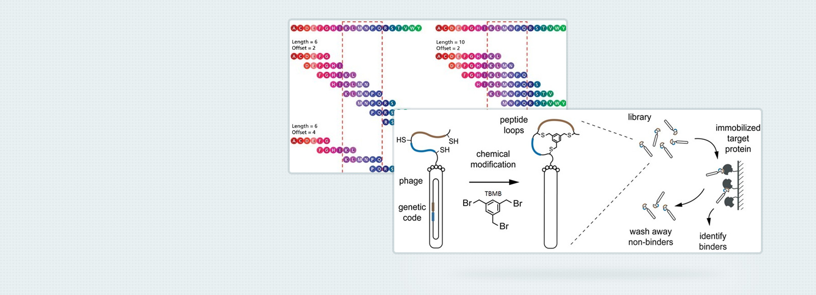 Creative Peptides Blog