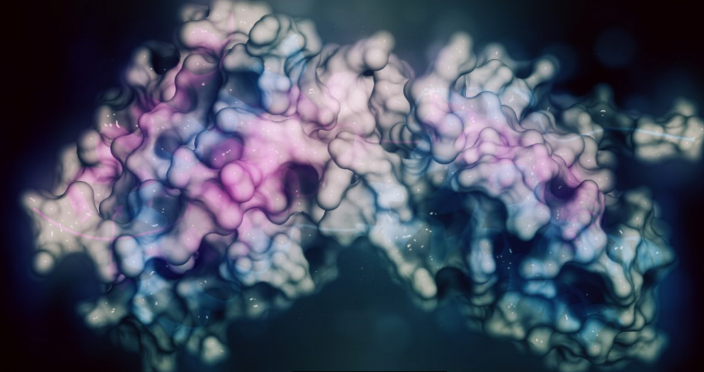 Experimental Techniques – Creative Peptides Blog