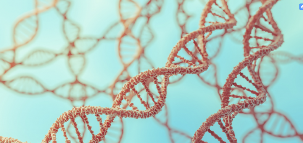 Fluorescence In Situ Hybridization – Creative Peptides Blog