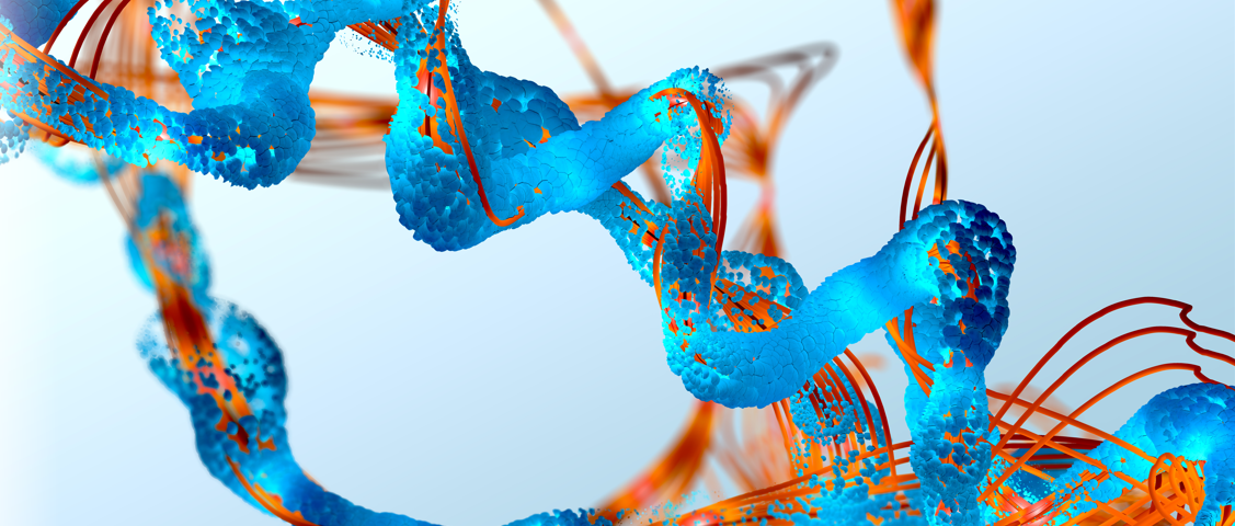 What is Animal Peptides, Plant Peptides and Synthetic Peptides ...