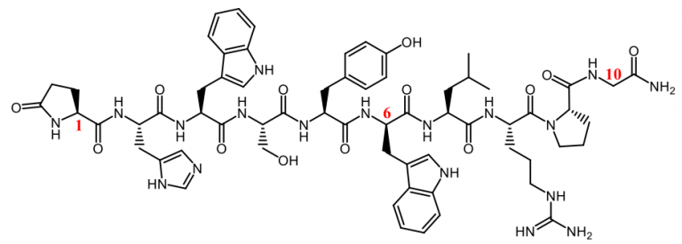 Methods to improve the metabolic stability of peptides